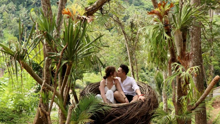 Bali Swing Price, Where To Find & Swing Activity Guides