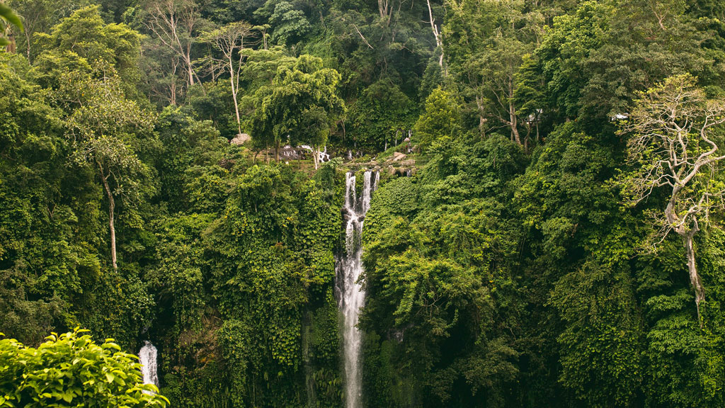 Bali Waterfalls: Discover Your Ultimate Travel Guide