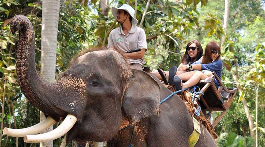 Bali Elephant Riding Experience: Adventure at Bakas Park